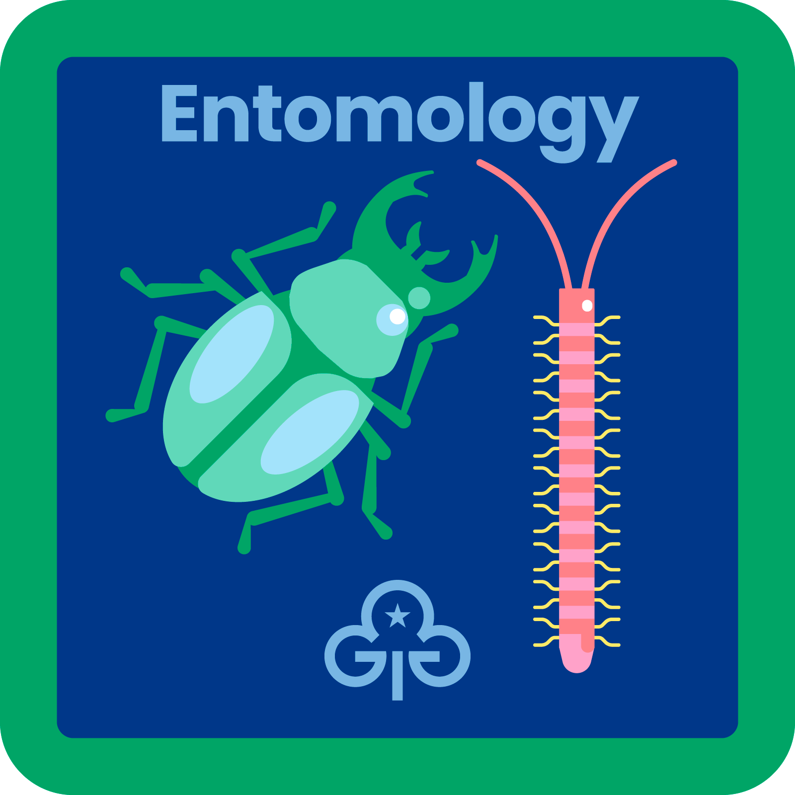 Guides entomology interest badge | Girlguiding