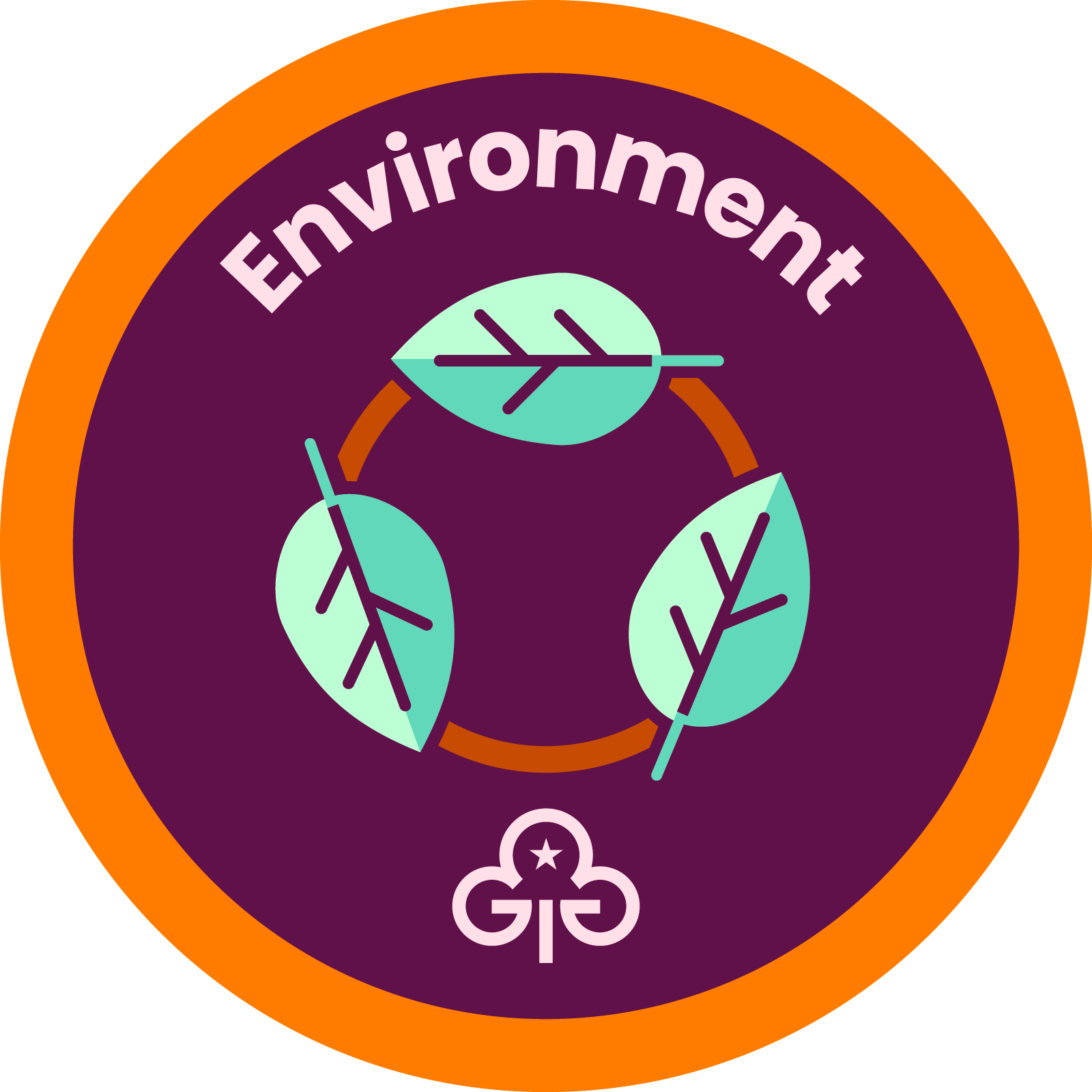 Environment interest badge for Rangers | Girlguiding