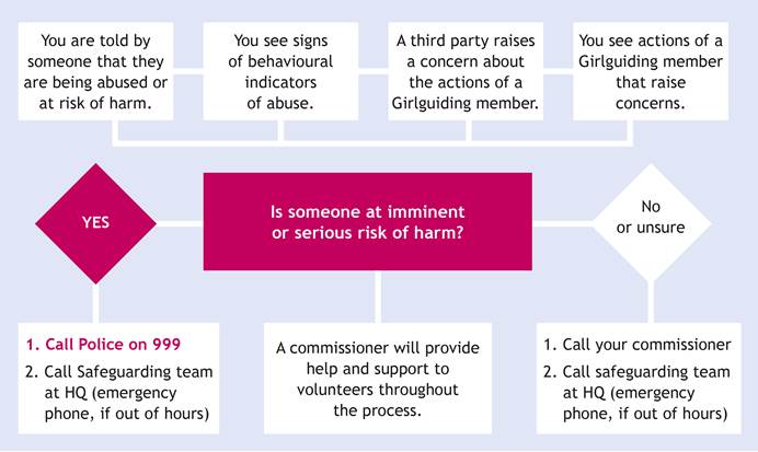 Safeguarding Adults Process Flowchart Safeguarding Adults Process Flowchart